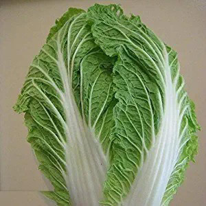 Aro Cabbage Seed Price in India - Buy Aro Cabbage Seed online at ...