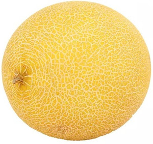 Avysa Super Sweet Yellow Musk Melon Fruit Seed Price in India - Buy ...