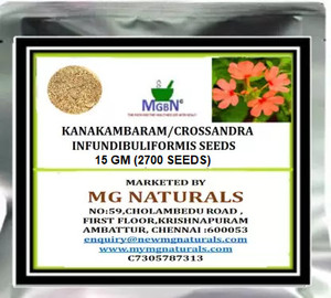 MGBN KANAKAMBARAM/CROSSANDRA INFUNDIBULIFORMIS SEEDS - 15 GM (12700 ...