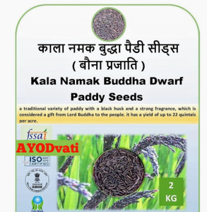AYODvati AYODvati Organic Buddha rice paddy seeds, organic hurb kala ...