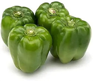 DHENU PRASAD Hybrid chilli (mirch) Seed Price in India - Buy DHENU ...