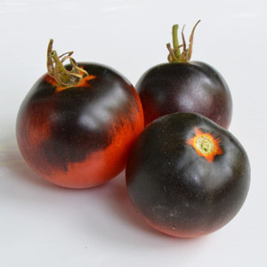 CYBEXIS Rare Carnival Mixed Tomato2000 Seeds Seed Price in India - Buy ...
