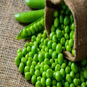 MYLAWN Green Peas Matar Seed Price in India - Buy MYLAWN Green Peas ...