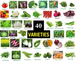 Greenery Hub 40 Variety Vegetable Seeds Combo Seed Price in India - Buy ...