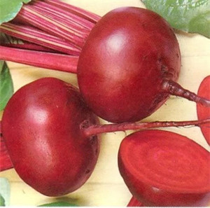 WINR Beetroot - Boston Seed Price in India - Buy WINR Beetroot - Boston ...