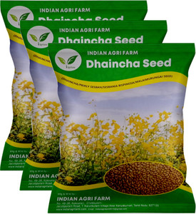 IAgriFarm Dhaincha / Sesbania Bispinosa / Malai Murungai Seed - 3 Kg ...
