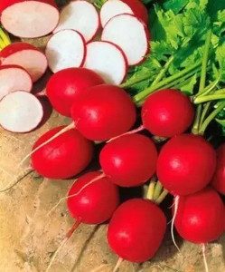 MAA Radish, Radish Red Ball Seed Price in India - Buy MAA Radish ...