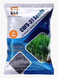 Numinous CoFs-31, Sorghum, Jowar, Multi-cut Perennial, Fodder Grass ...