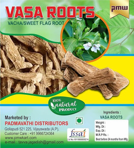 PMW Ayurvedic Acorus Calamus -Sweet Flag - Vasa - Vayambu - Vasambu ...