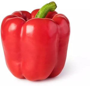 VASUDHA Red Shimla Mirch/Capsicum/Bell Pepper Seed Price in India - Buy ...