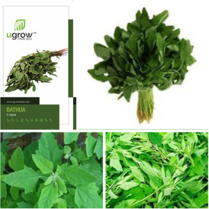 fixeded BATHUA BLISS: ORGANIC FRESH BATHUA LEAVES, PACKED WITH ...