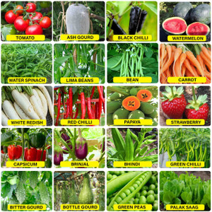 abiswas All season Vegetable Combo Pack With High Germination Seed ...