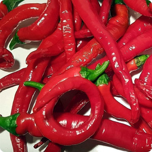 CYBEXIS Good Germination Red Hot Long Chilli Seeds-300 Seeds Seed Price ...