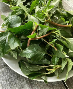 Lorvox Green Cholai Saag Vegetable Seed Price in India - Buy Lorvox ...
