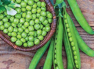 ENINE Matar Seed Price in India - Buy ENINE Matar Seed online at ...