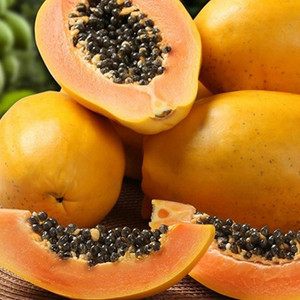 PLANTORISH Papaya Seed, P -300, Orgnic Fruit & Vegetable Seed, Papita ...