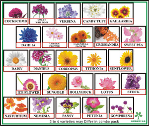 Greenery Hub 25 Varieties Flower Seeds Combo Seed Price in India - Buy ...