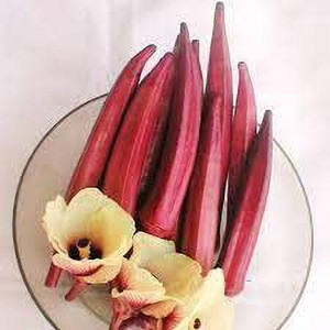 KANAYA Lal Bhindi Red Okra Lady Finger Vegetable Seed Price in India ...