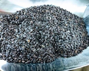 Herbal grocer mahabeera seed Seed Price in India - Buy Herbal grocer ...