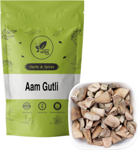 ayurved herbal care Aam Guthli - Aam Magaj - Mengifera Indica - Mango ...