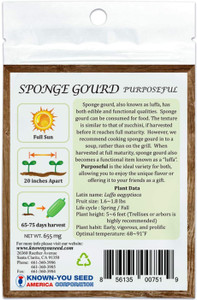 VibeX ® VXI-30 Luffa Cylindrica Smooth Sponge Gourd Seed Price in India ...