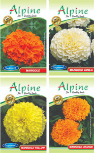 agri max gardens hybrid marigold,vanila,orange,yellow,narangi ...