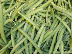 TANCES French Beans Vegetable Plant Seed Price in India - Buy TANCES ...