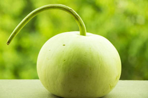 VibeX Round Bottle Gourd Lauki/Lau/Clabash-(200 Gms, 1000 Seeds) Seed ...