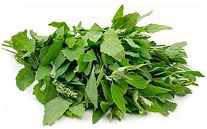Aywal Bathua Saag(बथुआ साग) Vegetable Seed Price in India - Buy Aywal ...
