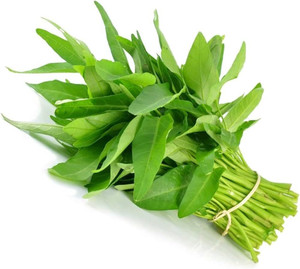 Infintegreen WATER SPINACH (KALMI SAAG) Seed Price in India - Buy ...