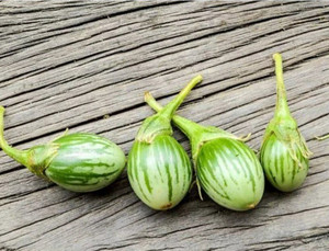 Avysa Eggplant Petch Siam Vegetable Seed Price in India - Buy Avysa ...