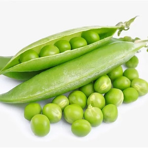 MYLAWN (मटर के बीज) (Matar) Peas Seeds Seed Price in India - Buy MYLAWN ...