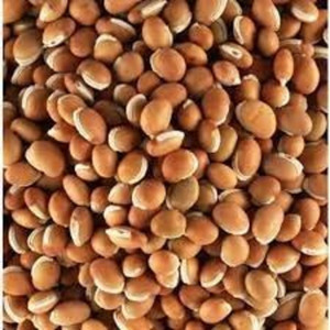 SPS MARKETING Field Beans / Lima 500g /Double Beans Quinoa Price in ...