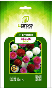U-GROW INDIA UGROW INIDA ASSORTED COLORS AND VARIETIES ,BEELIS SEEDS ...