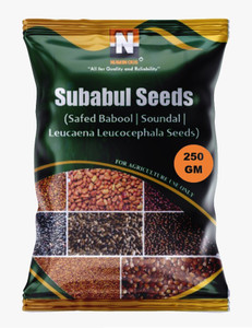 Numinous Subabul, Safed Babool, Soundal, Leucaena Leucocephala, Fodder ...