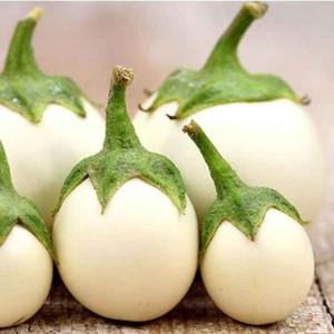 MSG White Brinjal, Safed Baingan, Sada Begun Seed Price in India - Buy ...