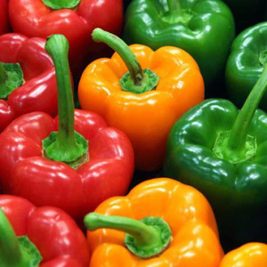 VibeX ® VLR-522 Capsicum Rainbow Mix Seeds Seed Price in India - Buy ...