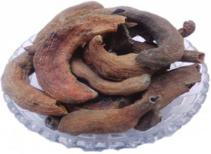 Naturebooti Pure Kakra singhi - Pistacia Integerrima Seed Price in ...