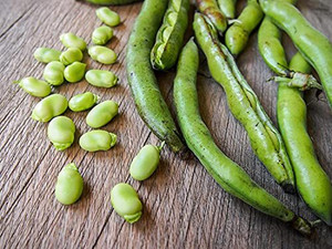 Aywal Bean/Bakla Seed Price in India - Buy Aywal Bean/Bakla Seed online ...