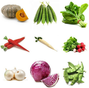 Magnif Brinjal|Okra s|Loki Lattu|Broccoli| |Capsicum| Palak|Amaranthus ...