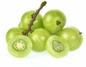 PMA Amla Seeds, Aamloki ,Gooseberry Seed, Amla Seeds For Gardening Seed ...