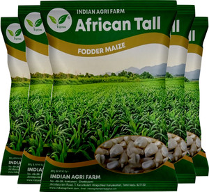 IAgriFarm African Tall Fodder Maize / Makka (Zea Mays) - 5 Kg for ...