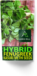 AGRO MILL HYBRID F1 PREMIUM QUALITY KNOL KHOL/GANTH GAATH GOBHI FOR ...