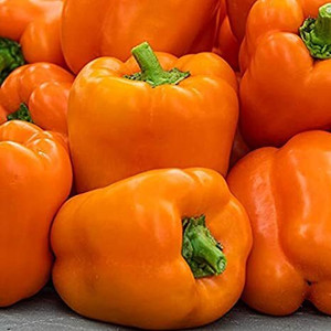 Aywal Orange Color Shimla mirch Seed Price in India - Buy Aywal Orange ...