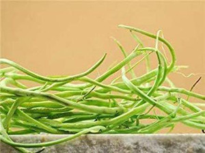 KANAYA Singra Seed Price in India - Buy KANAYA Singra Seed online at ...