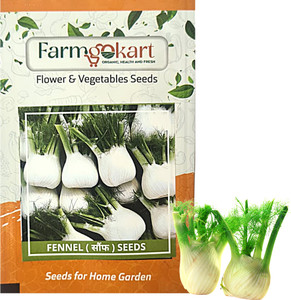 FARMGO |10 Gms FENNEL Herb Seeds |for Home Gardening, Farming ...