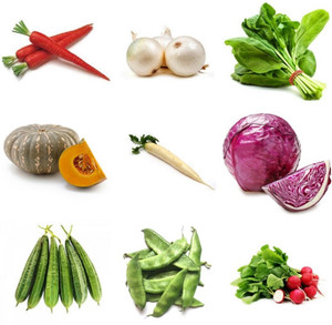 Magnif Capsicum| Palak|Amaranthus Red|Bakla Beans|Brinjal|Okra s|Loki ...