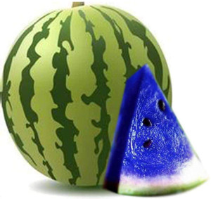 CYBEXIS Plant Blue Watermelon Seeds Vegetable Health Home Garden-50 ...