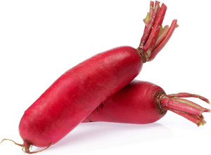 WILLVINE NDIR-88 Radish Seeds - Fire Candle Seed Price in India - Buy ...