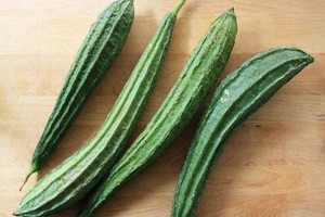 VibeX ® XXL-211 Ridge Gourd |Turia Non-GMO Seed Price in India - Buy ...